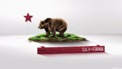 California Flag GIFs