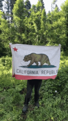 California Flag GIFs