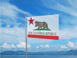 California Flag GIFs