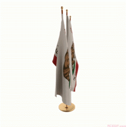 California Flag GIFs