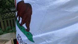 California Flag GIFs