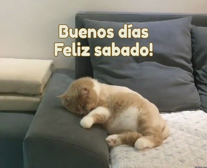Buenos días sábado GIFs - 50 tarjetas de felicitación animadas