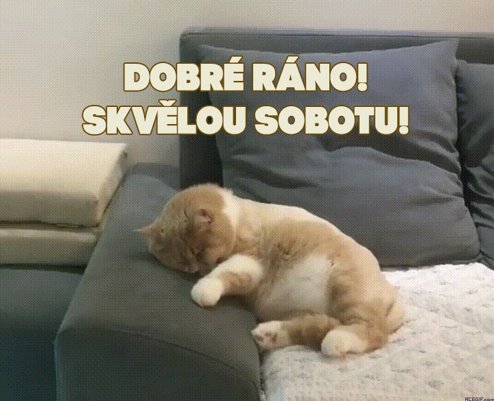 Dobré ráno a Hezkou sobotu GIFy