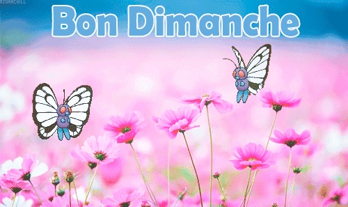 Bon Dimanche GIFs - 90 images animées gratuitement! – USAGIF.com