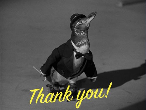 Thank You GIFs - 100 Animated Images With Caption – USAGIF.com