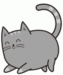 Happy Cat GIFs - 35 Animated Images of Cats in Joy