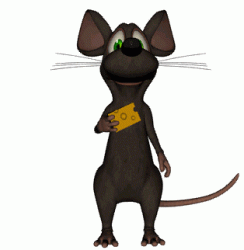 Råttor på GIF - 80 animerade GIF-bilder på dessa gnagare