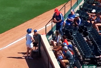 Texas Rangers GIFs | USAGIF.com