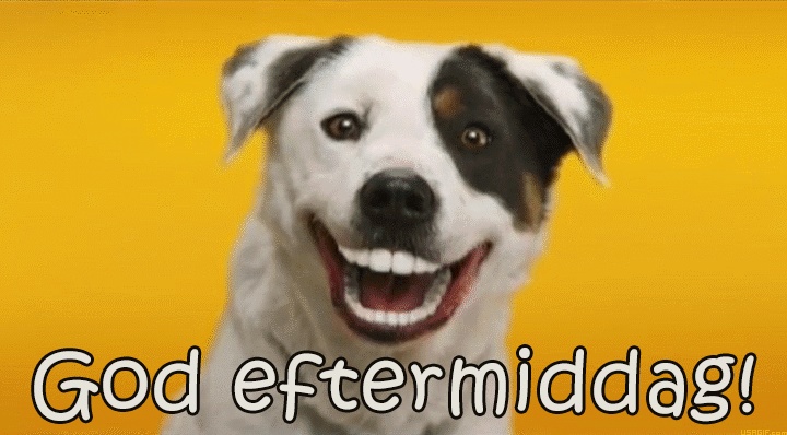 God Eftermiddag GIF-Bilder | USAGIF.com
