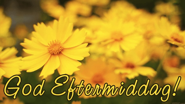 God Eftermiddag GIF-Bilder | USAGIF.com