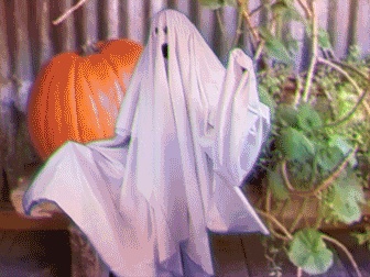 Spooky GIFs For This Spooky Season | USAGIF.com