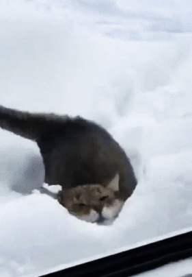 Wunderschöne Winter-GIFs | USAGIF.com