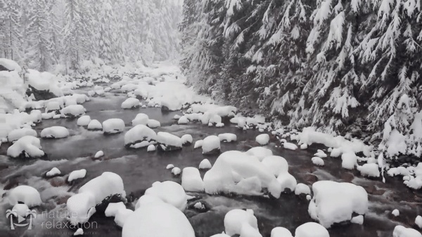 Wunderschöne Winter-GIFs | USAGIF.com