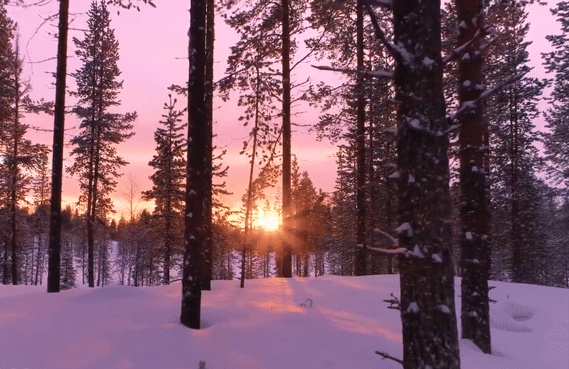 Wunderschöne Winter-GIFs | USAGIF.com